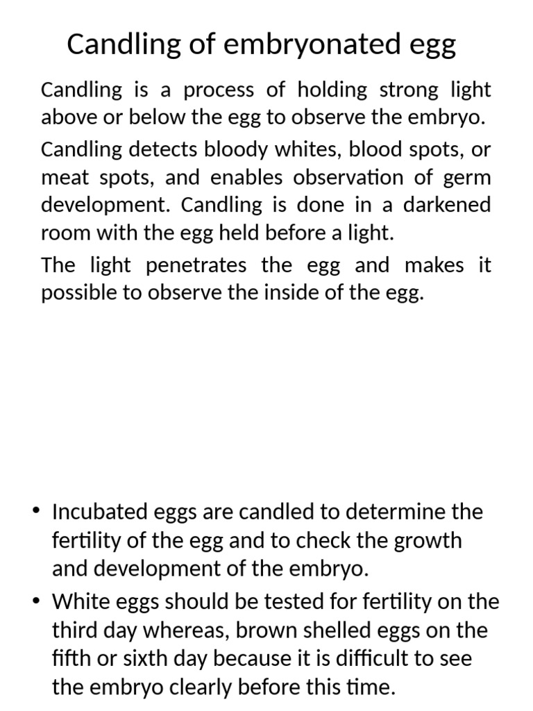 Candling of Embryonated Egg | PDF