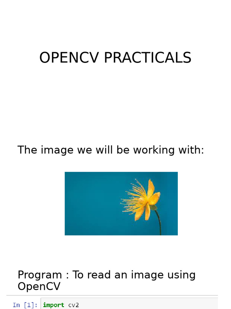 Class10 Ai Term II Practicals 1 | PDF