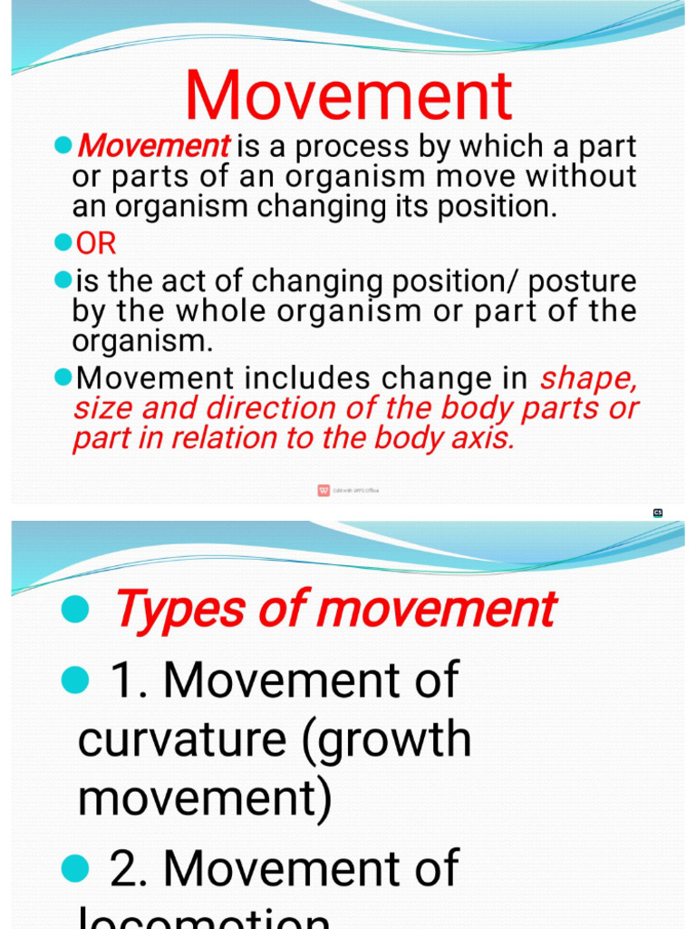 Form Three Notes | PDF