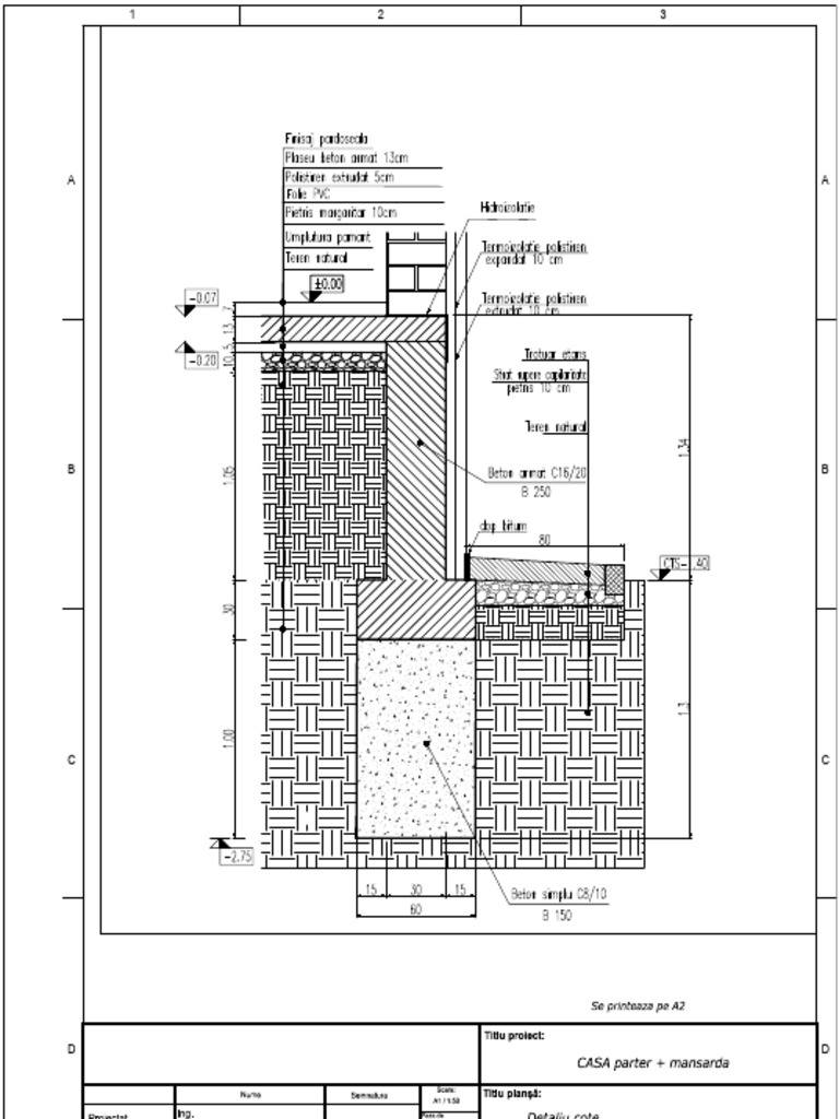 detaliu fundare demisol | PDF