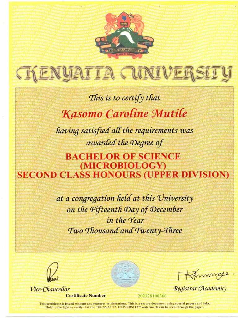 Kenyata University | PDF