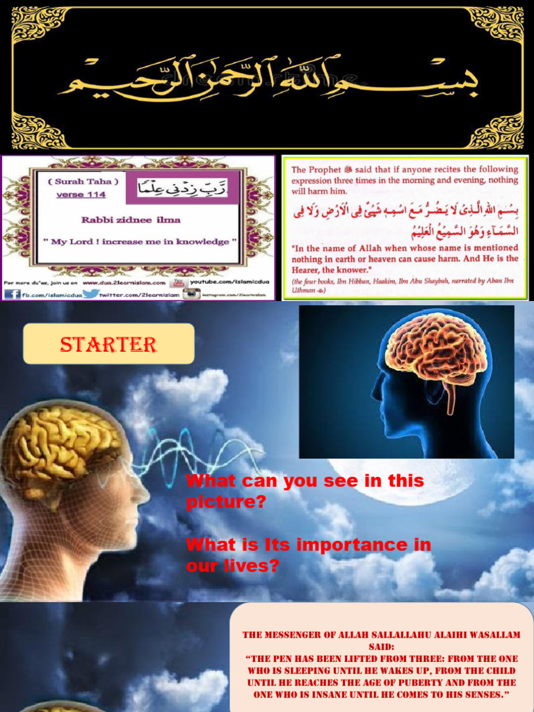 Mind-In-Islam PPT Year 11 | PDF | God In Islam | Quran