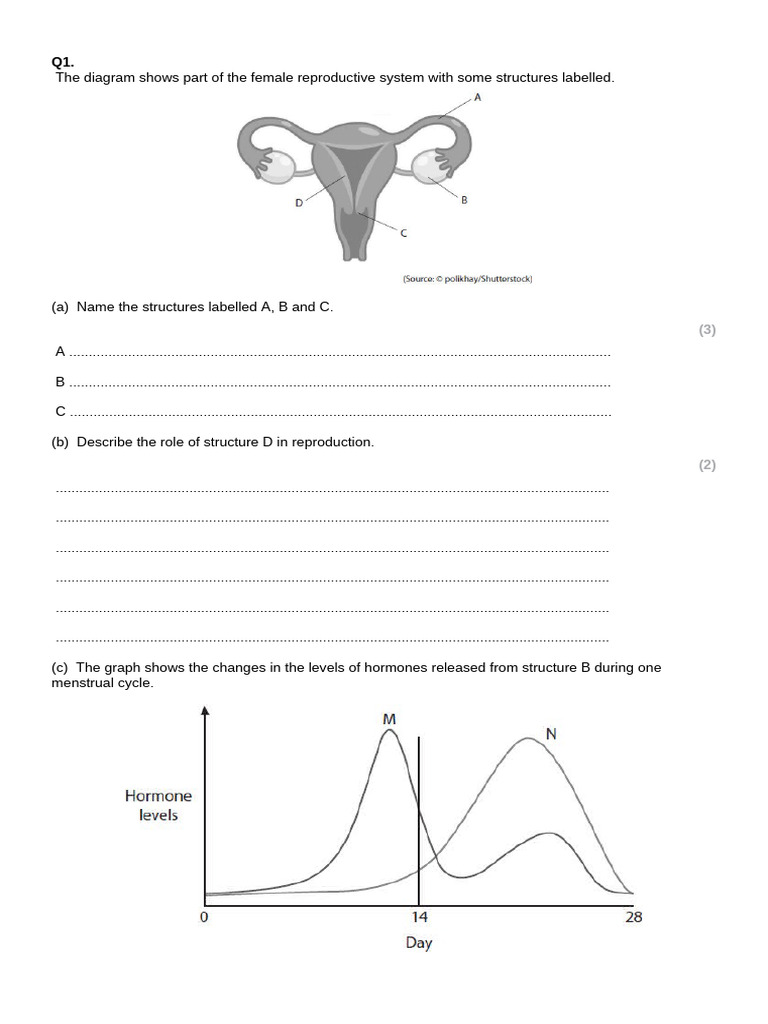 Hormonal Control of Menstrual Cycle | PDF | Menstrual Cycle | Medical ...