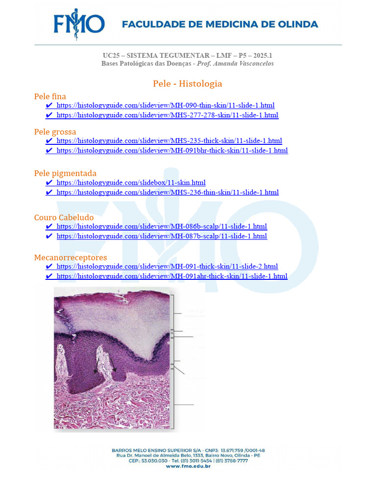 UC25-Patologia01 FMO 2025.1 | PDF