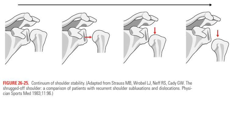 Shoulder Stability Continuum Explained | PDF