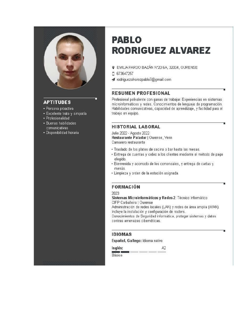 Curriculum Pablo Rodriguez | PDF