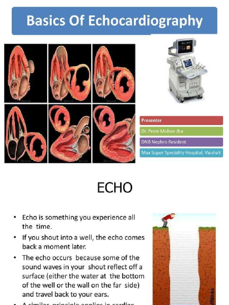 2d Echo Basics | PDF