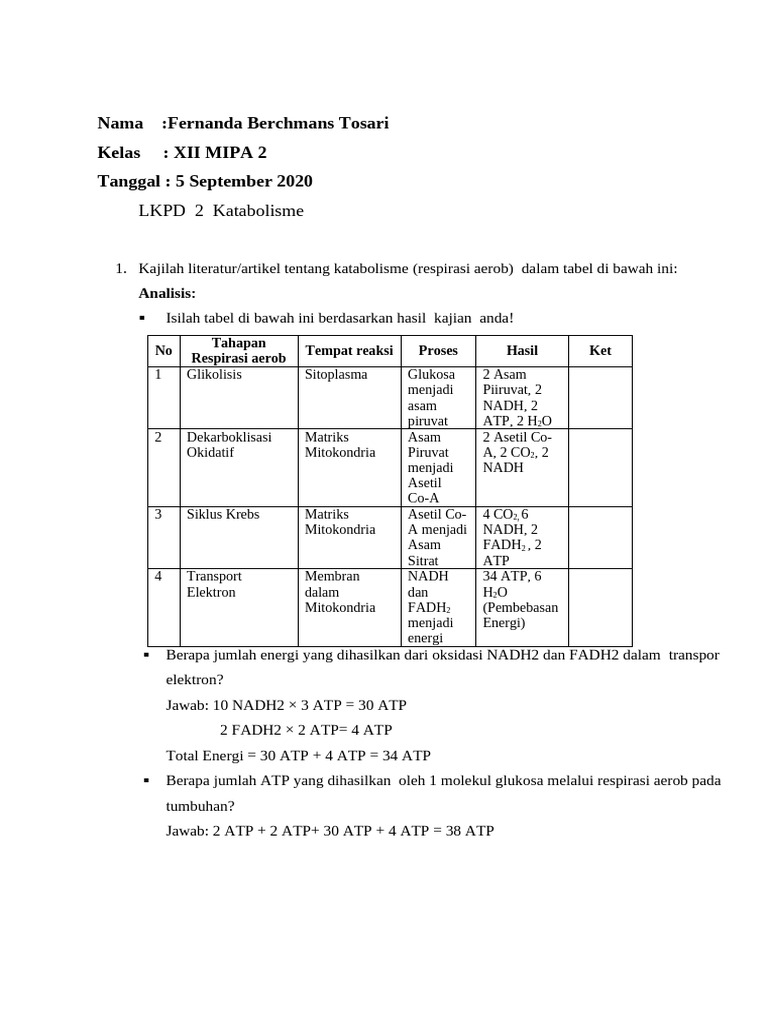 Respirasi Aerob dan Anaerob | PDF