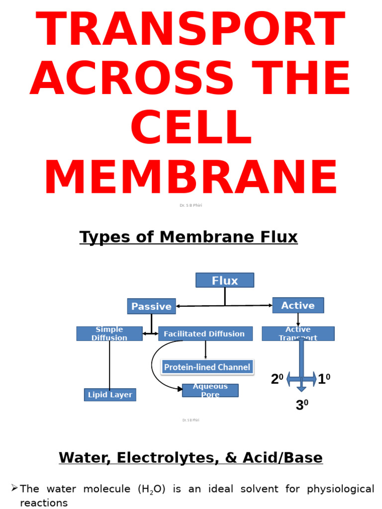 Transport Lecture 5 | PDF | Cell Membrane | Vesicle (Biology And Chemistry)