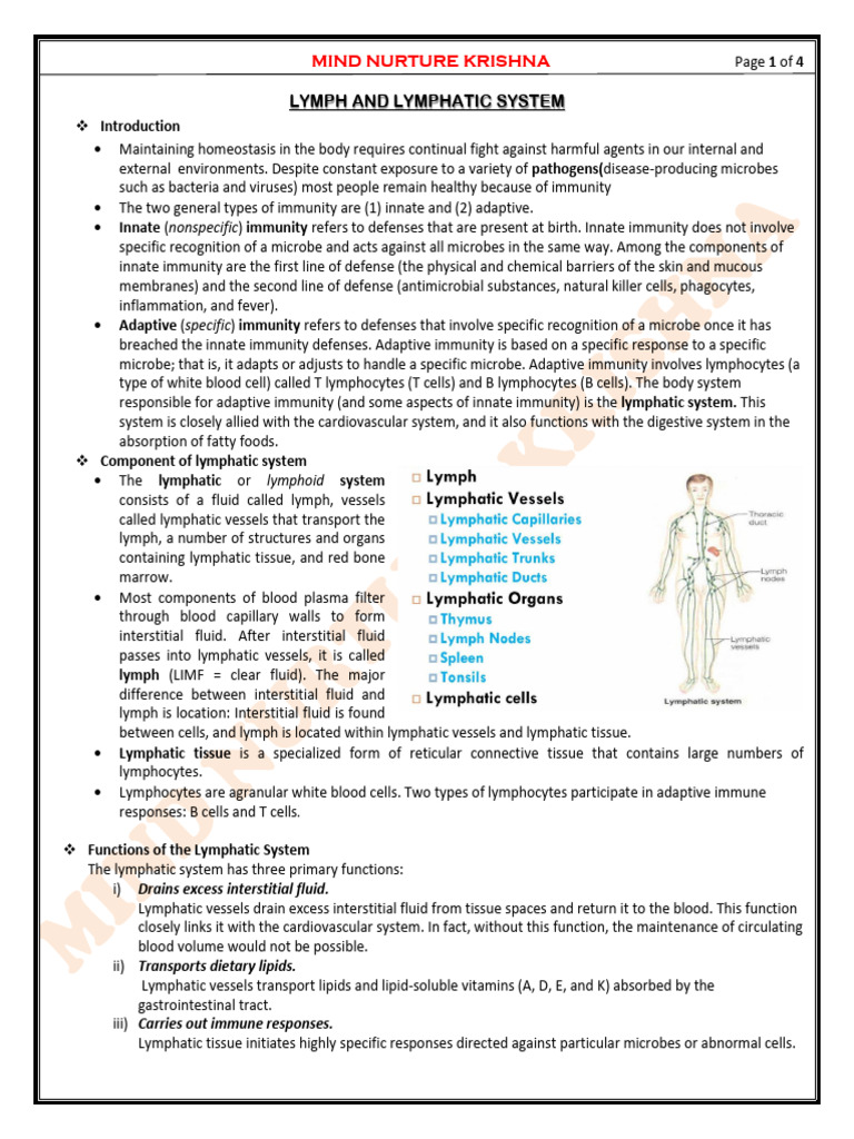 L-1 Lymph and Lymphatic System | PDF | Lymph | Lymphatic System