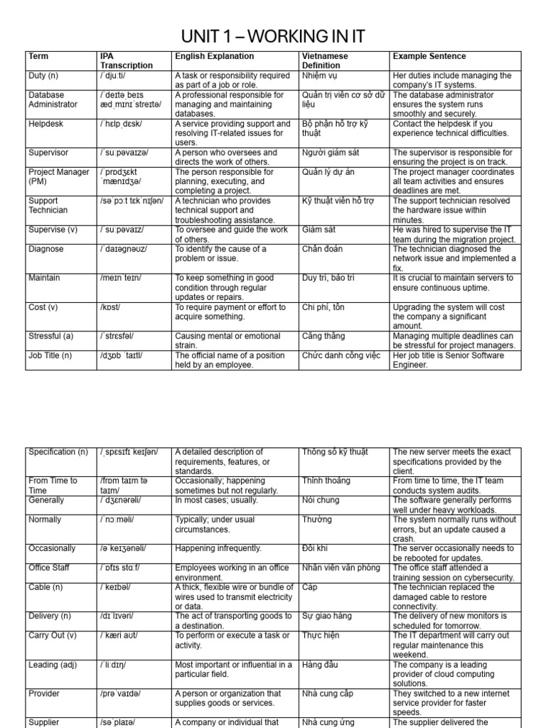 IT Vocabulary for Professionals | PDF | Computing