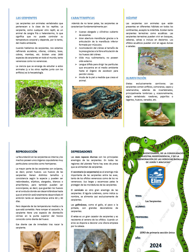 Las Serpientes Del Perú en El Parque | PDF | Serpiente | Reptil