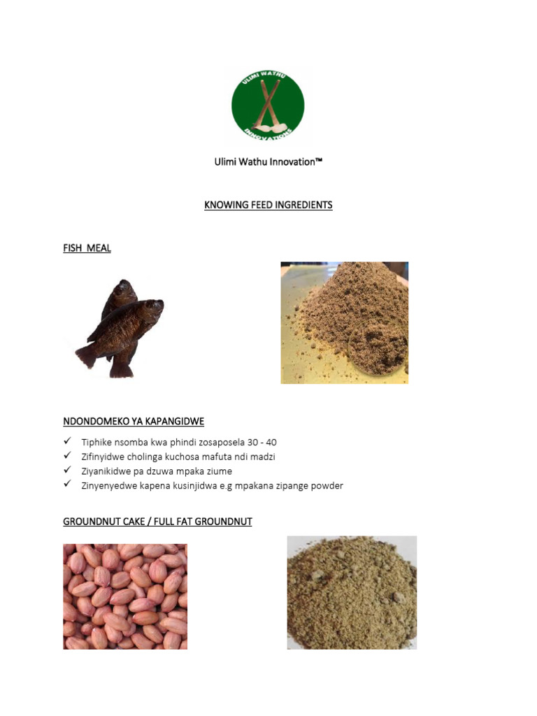 Feed Ingredient Processing Guide | PDF | Flour | Foods