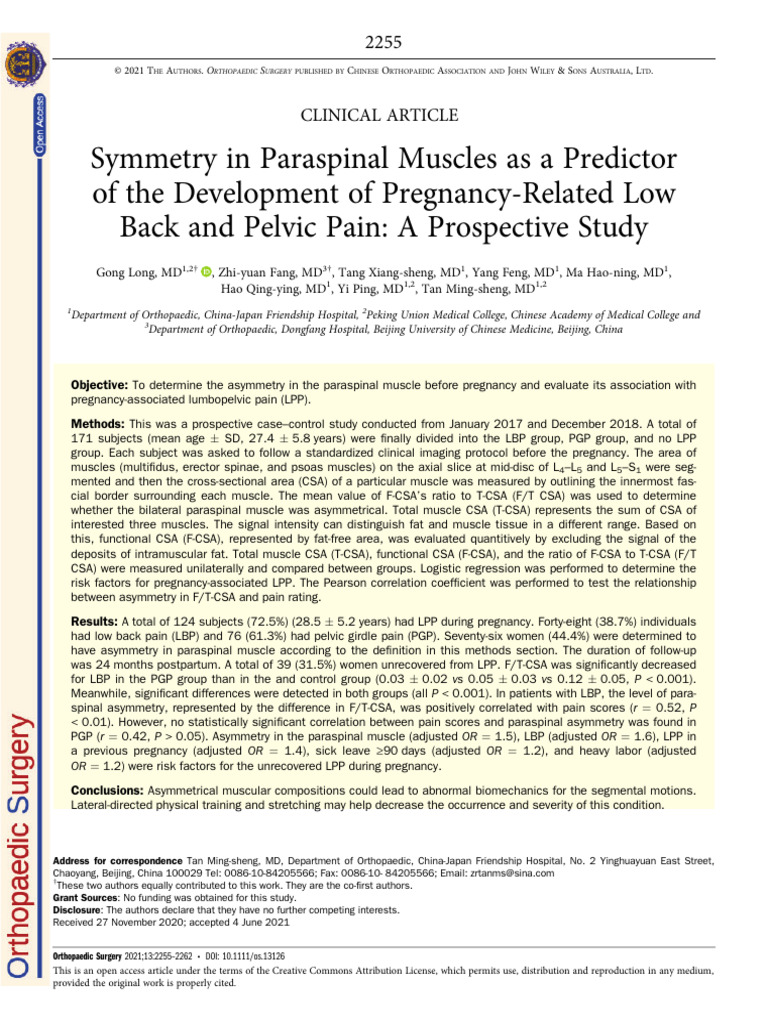 Symmetry in Paraspinal Muscles as a Predictor of the Development of ...