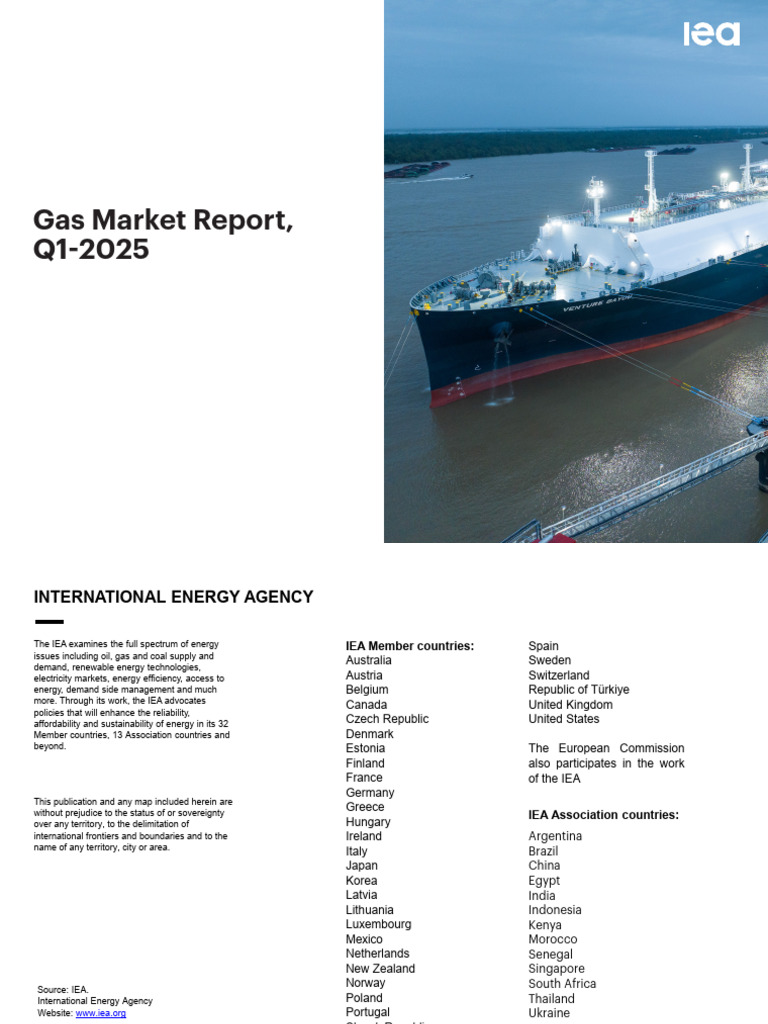 Q1-2025 Gas Market Insights Report | PDF | Liquefied Natural Gas ...