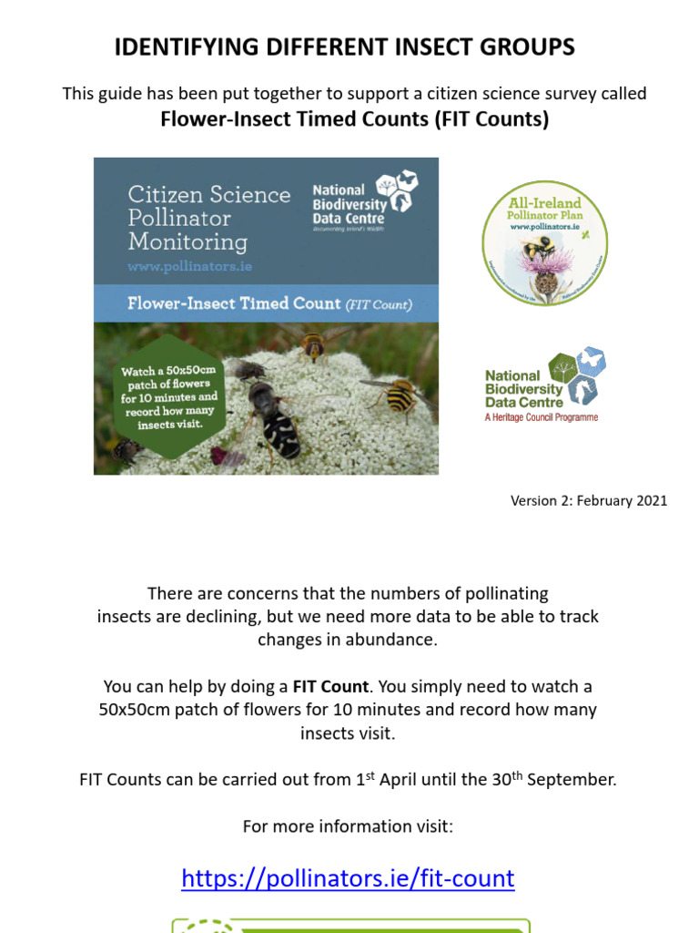 FIT-Counts-guide-to-identifying-the-different-insect-groups_2021 | PDF ...