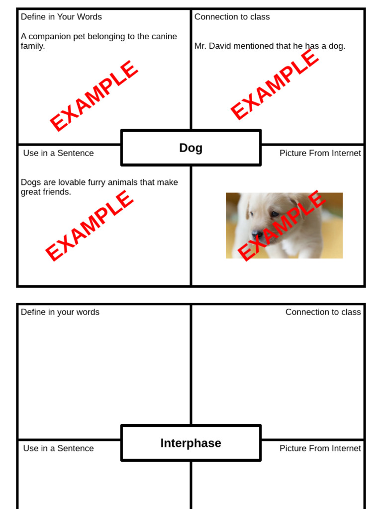 Edric Pipe (LN 10) - Cell Cycle Vocab Squares | PDF