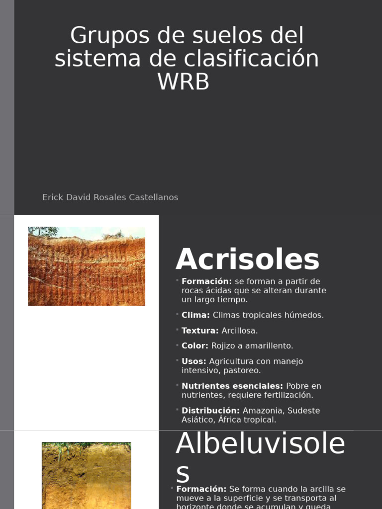 Grupos de Suelos Del Sistema de Clasificación WRB | PDF | Arcilla | Suelo
