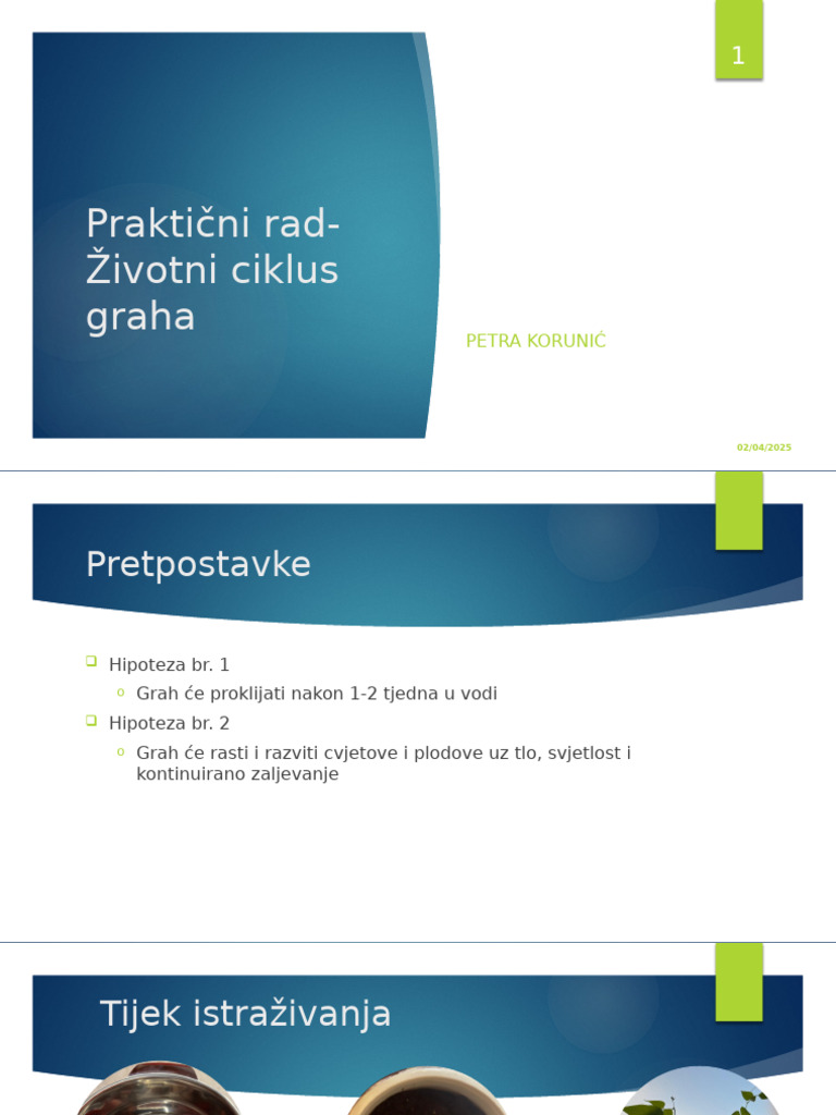 Praktičkni Rad-Razvoj Graha | PDF