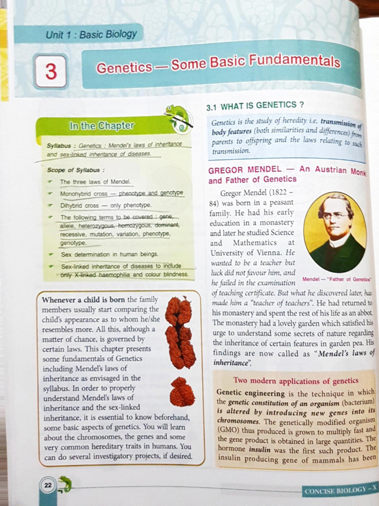 Fundamentals of Genetics and Inheritance | PDF | Dominance (Genetics ...