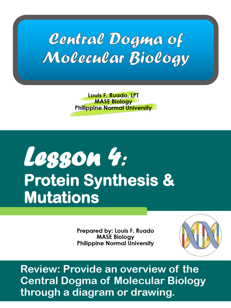 4-Lesson 4-Protein Synthesis and Mutations | PDF | Translation (Biology ...