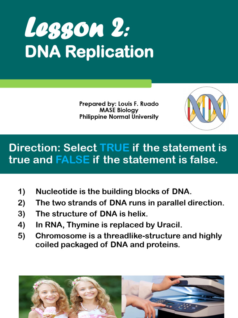 2D-Lesson 2 - DNA Replication | PDF | Dna Replication | Dna