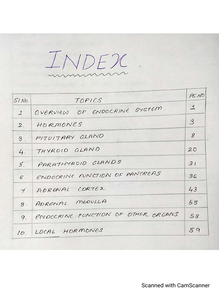 Endocrine System Handwritten | PDF | You Tube