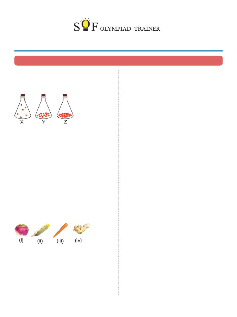 NSO Level 2 Mock Test for Class 3 Science | PDF | Water | Seed