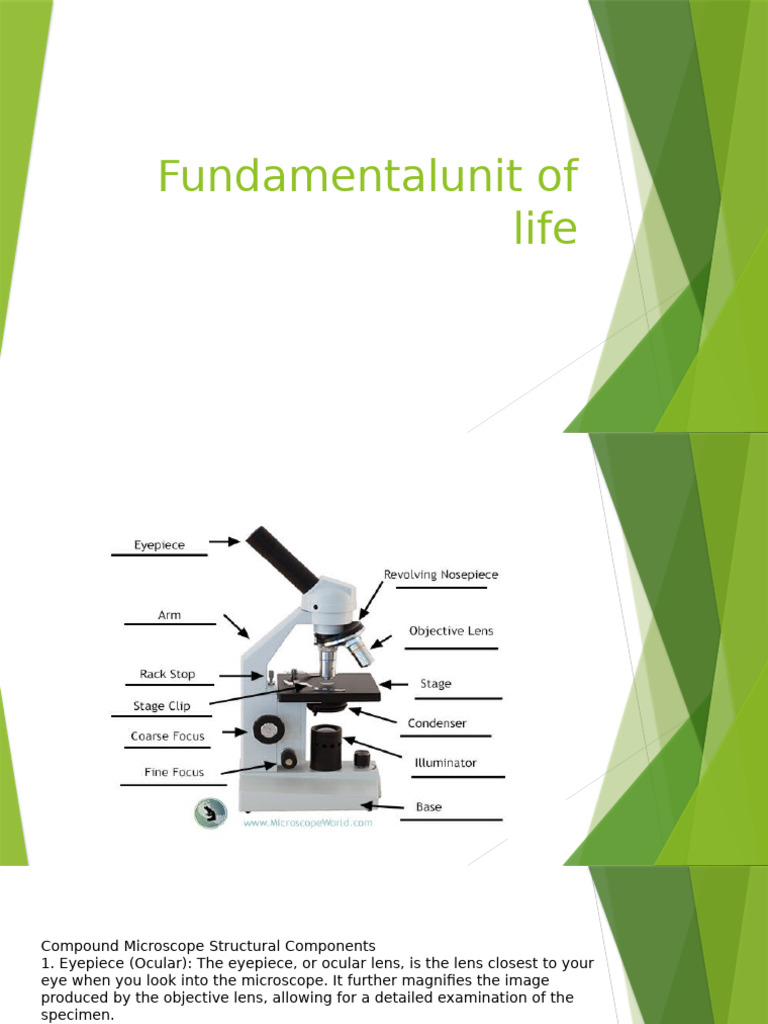 Fundamentalunit of Life - Microscope | PDF