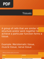 Grade 10 Plant Tissues & Organs Notes | PDF