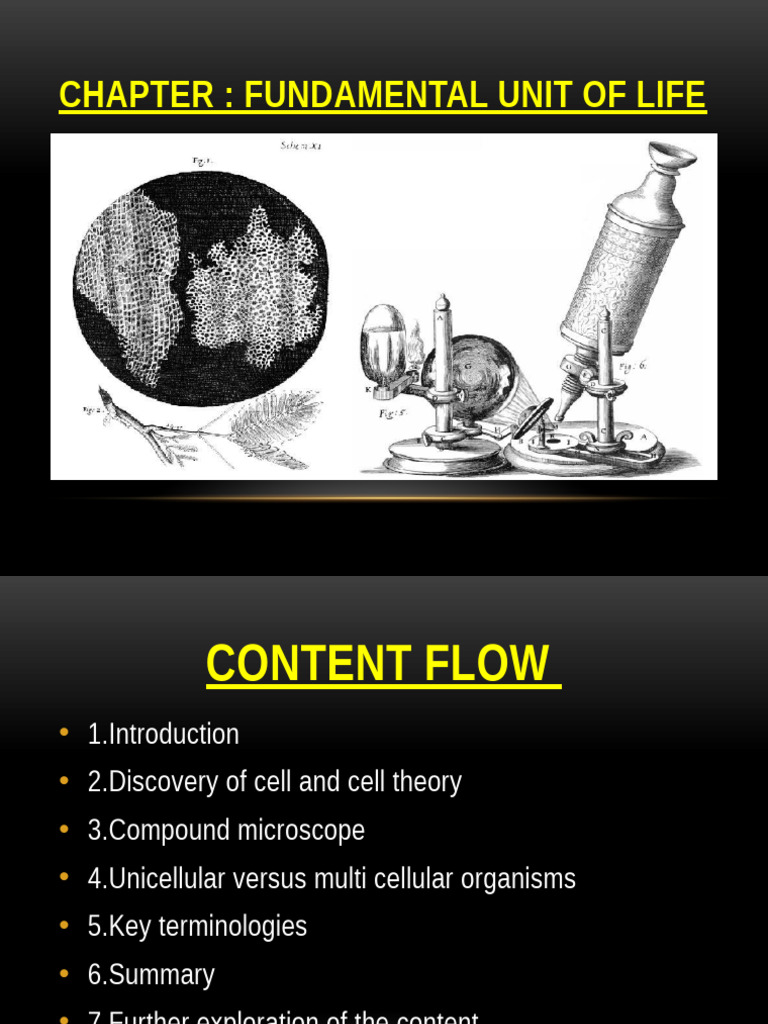 Fundamental Unit of Life | PDF | Cell Wall | Cell (Biology)