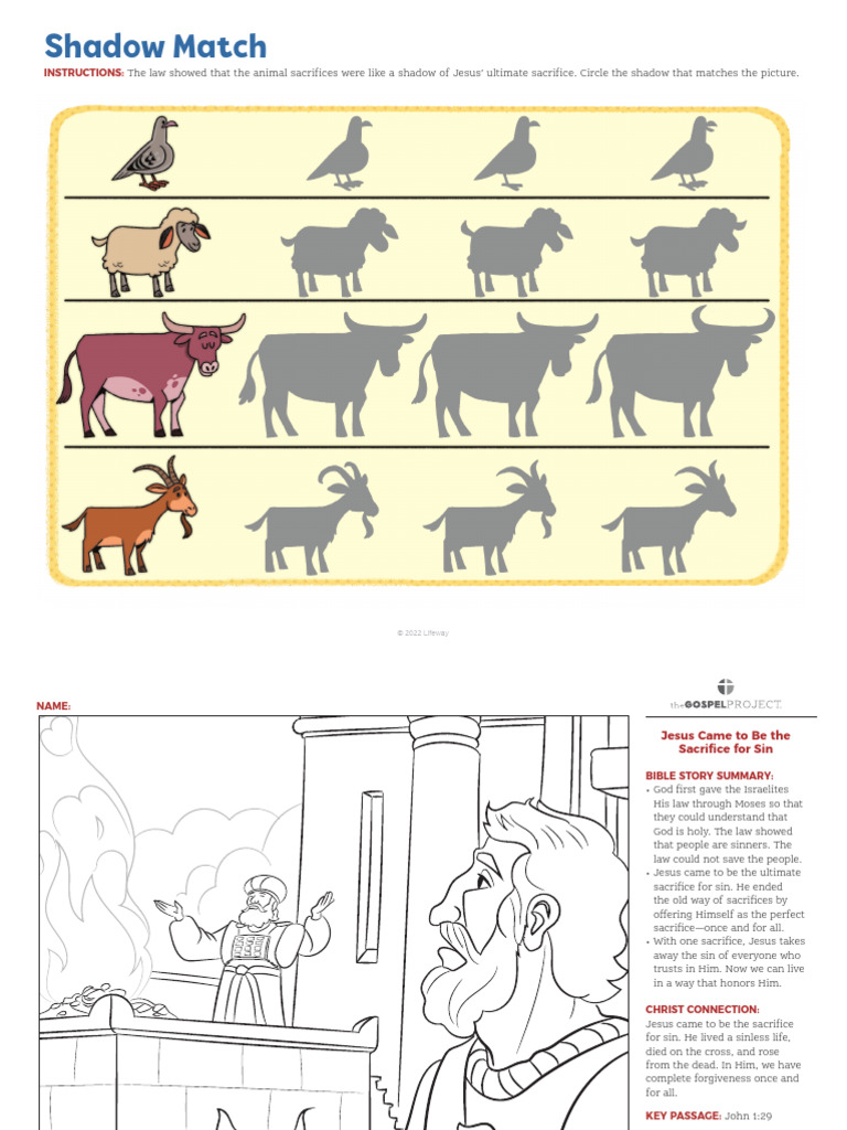 02 tgp4 v7 U19 s6 Yk Activity Pages | PDF