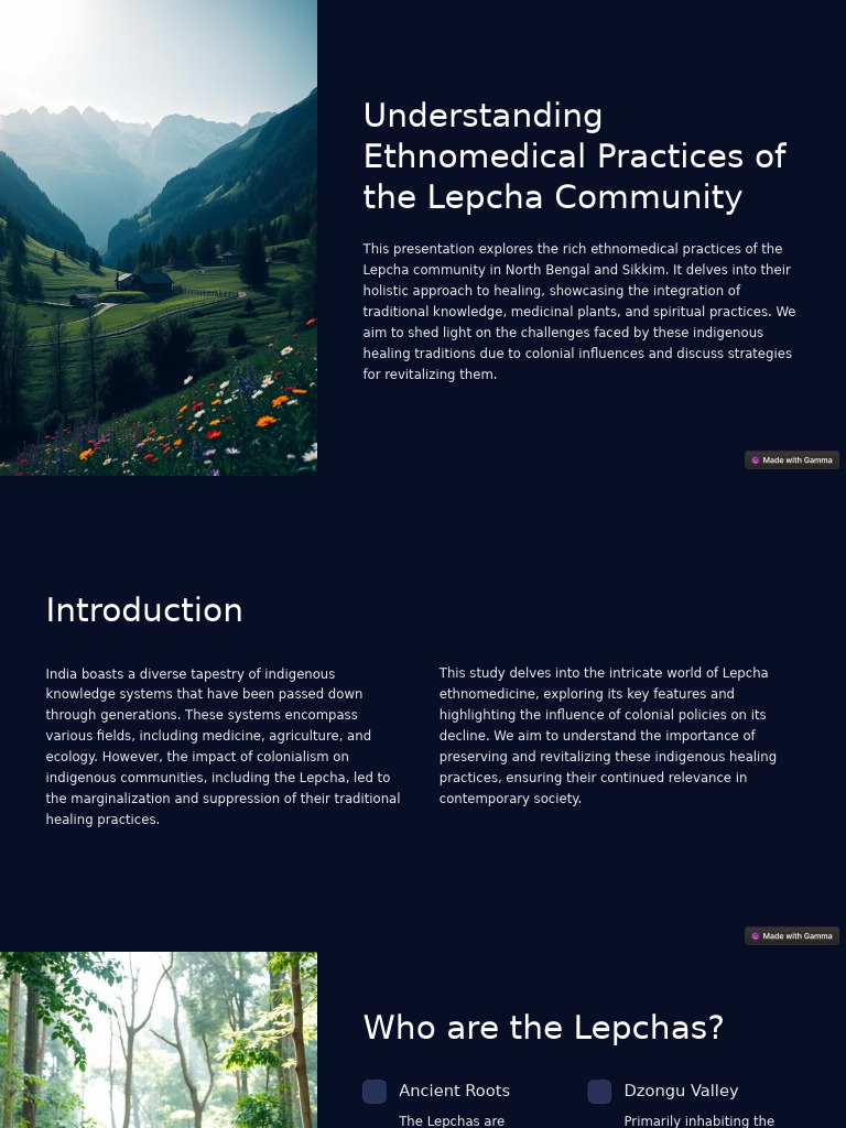 Understanding Ethnomedical Practices of The Lepcha Community | PDF