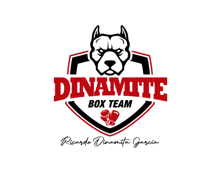 Logo Dinamite Box Team | PDF