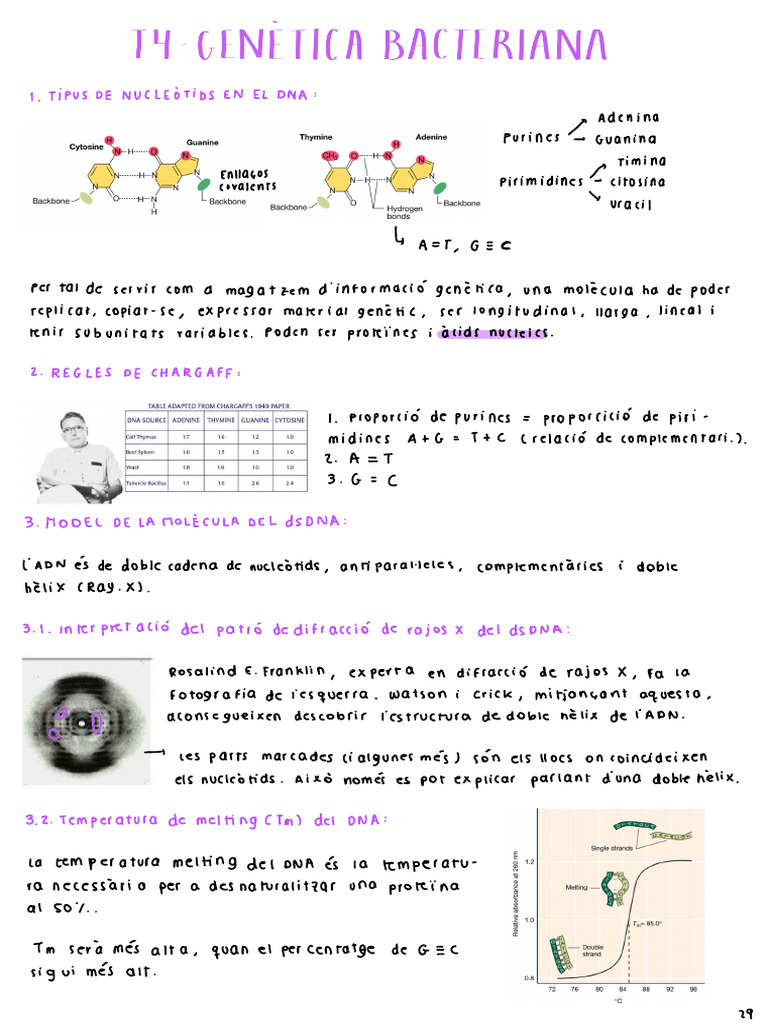 Apunts 2 | PDF