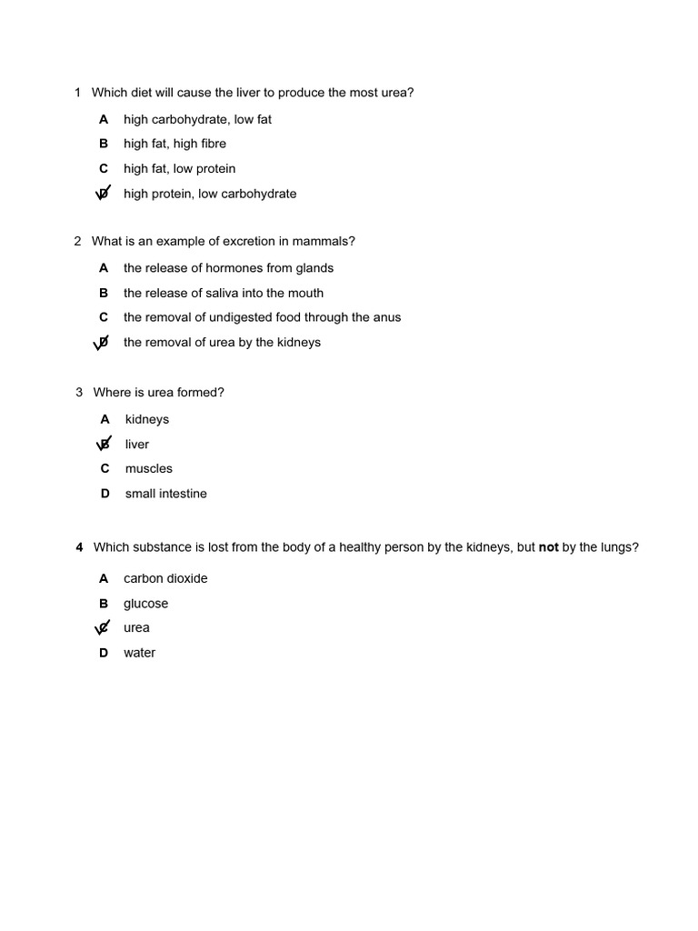 Excretion in Animals Worksheet Answers | PDF | Kidney | Urine