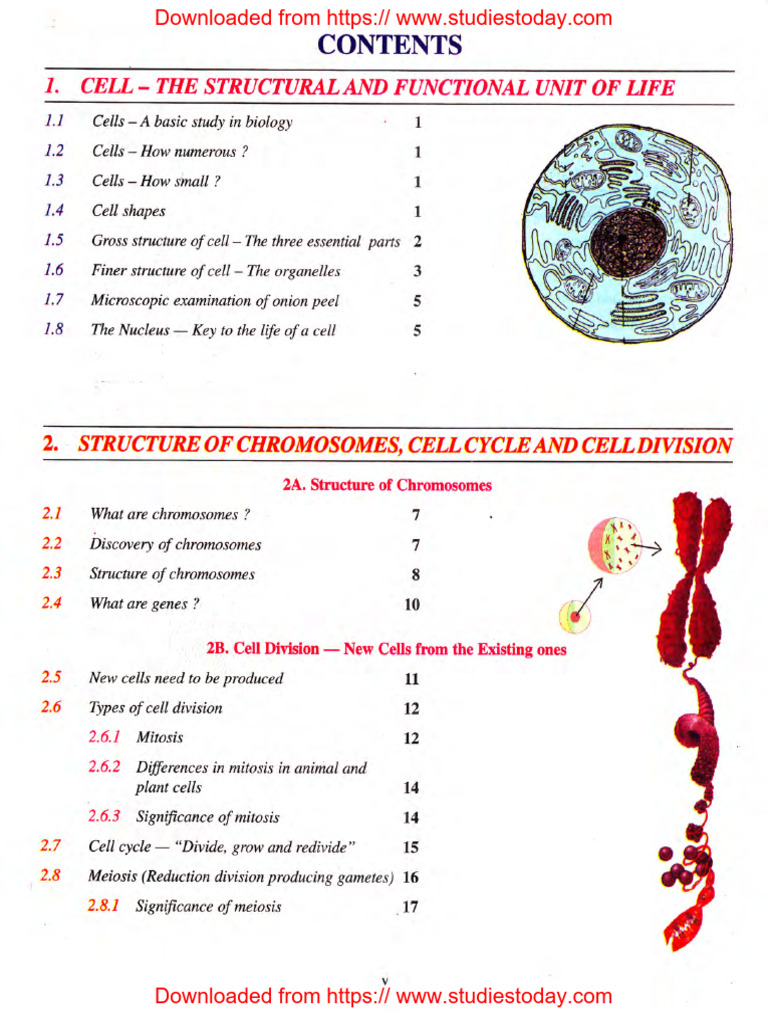 Class 10 Bio | PDF