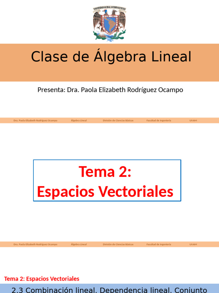 Espacios Vectoriales en Álgebra Lineal | PDF | Espacio vectorial ...