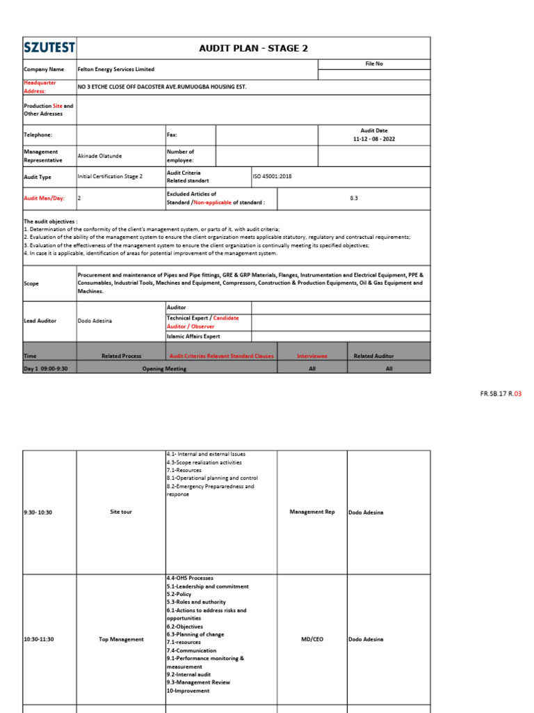 audit plan | PDF | Audit | Business