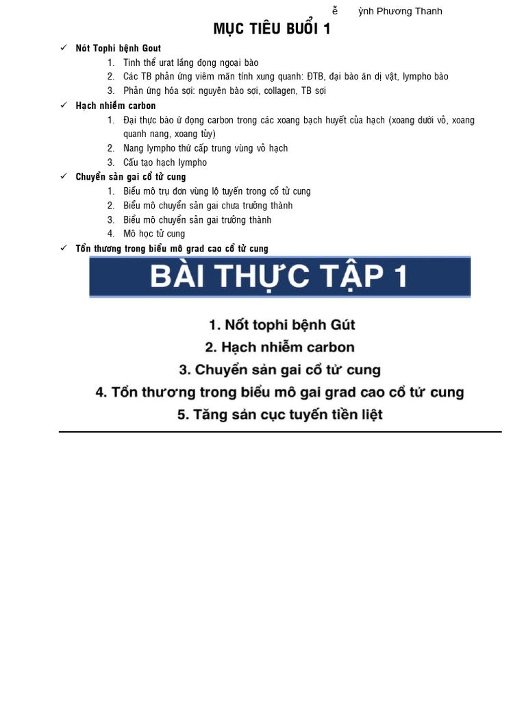 (Dinhdinh) (TT GPB) (Buổi 1) | PDF