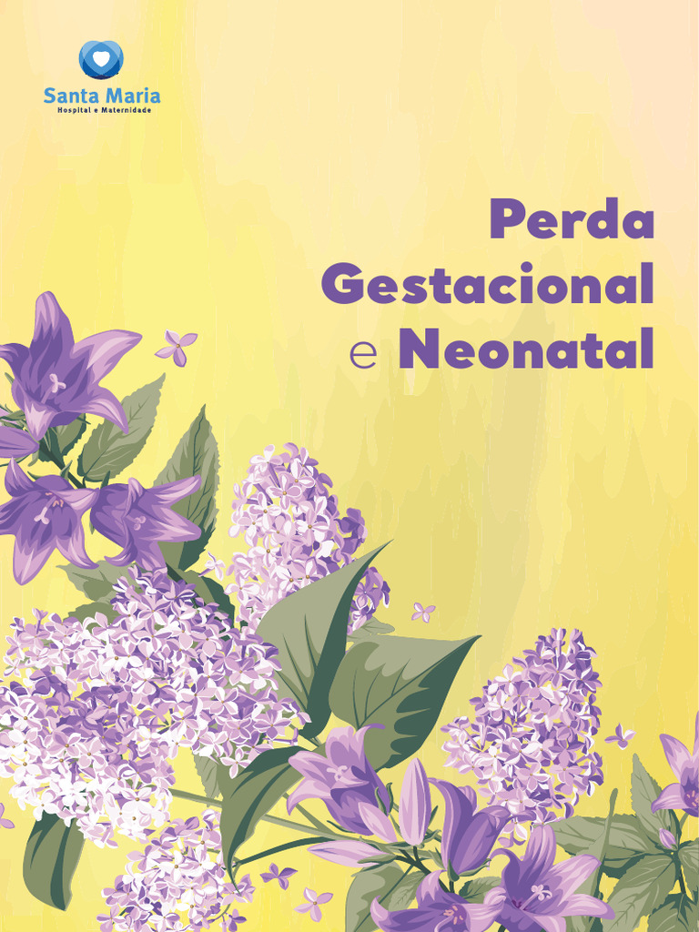 SM E Book Perda Gestacional V02 | PDF | Gravidez | Aborto