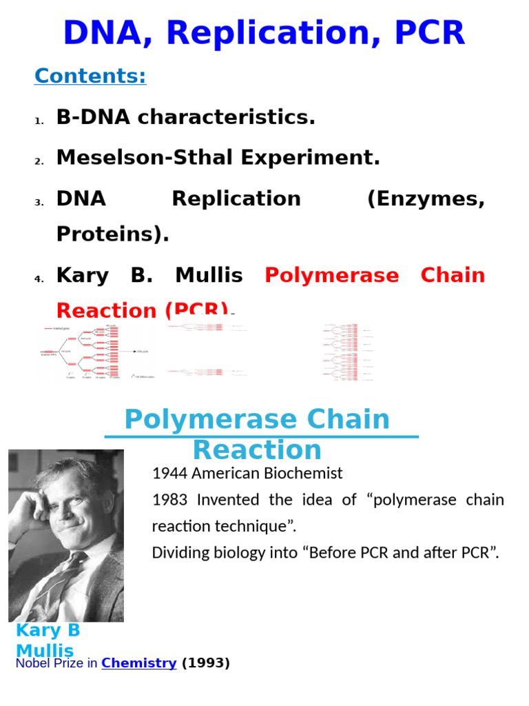 1. Central Dogma, Transcription and Translation 3 | PDF | Genetic Code ...