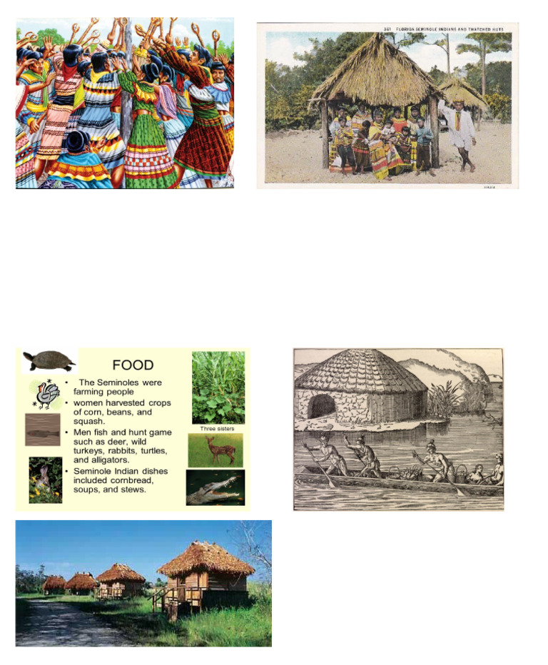 Tribu Seminole | PDF