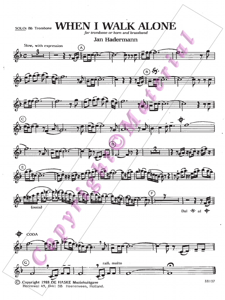 JM40668 When I Walk Alone | PDF