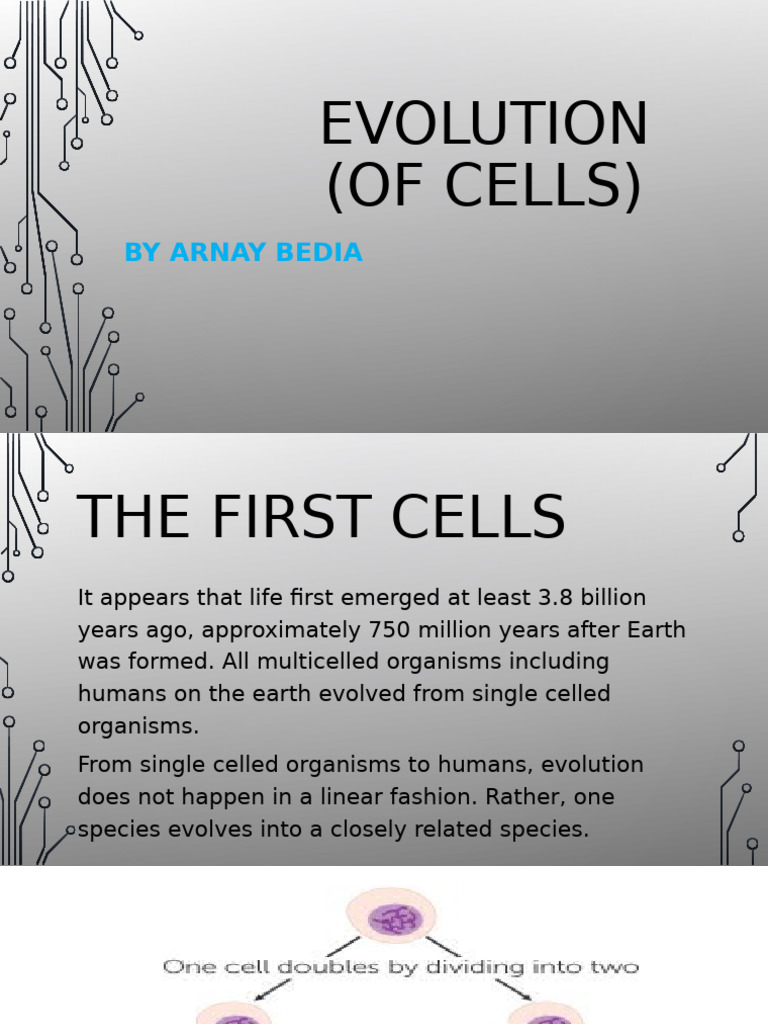 Evolution of Cells | PDF