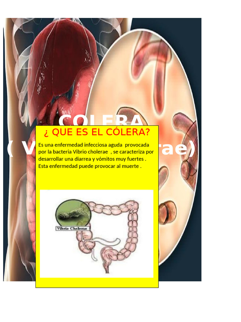 cólera | PDF