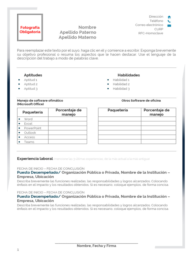 Formato CV Convocatoria FGR-CFSPC-ABIERTA-APFM-01-2025vf | PDF ...