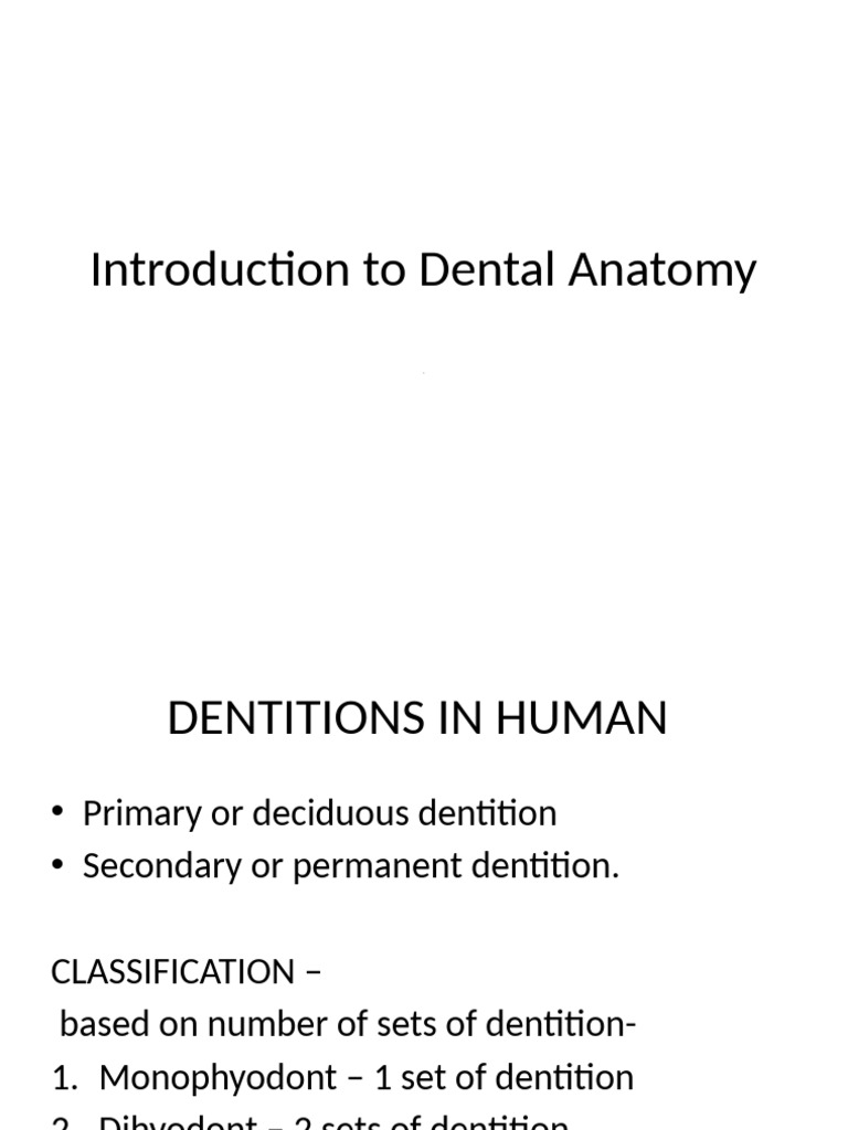 Introduction To Dental Anatomy | PDF | Dental Anatomy | Tooth