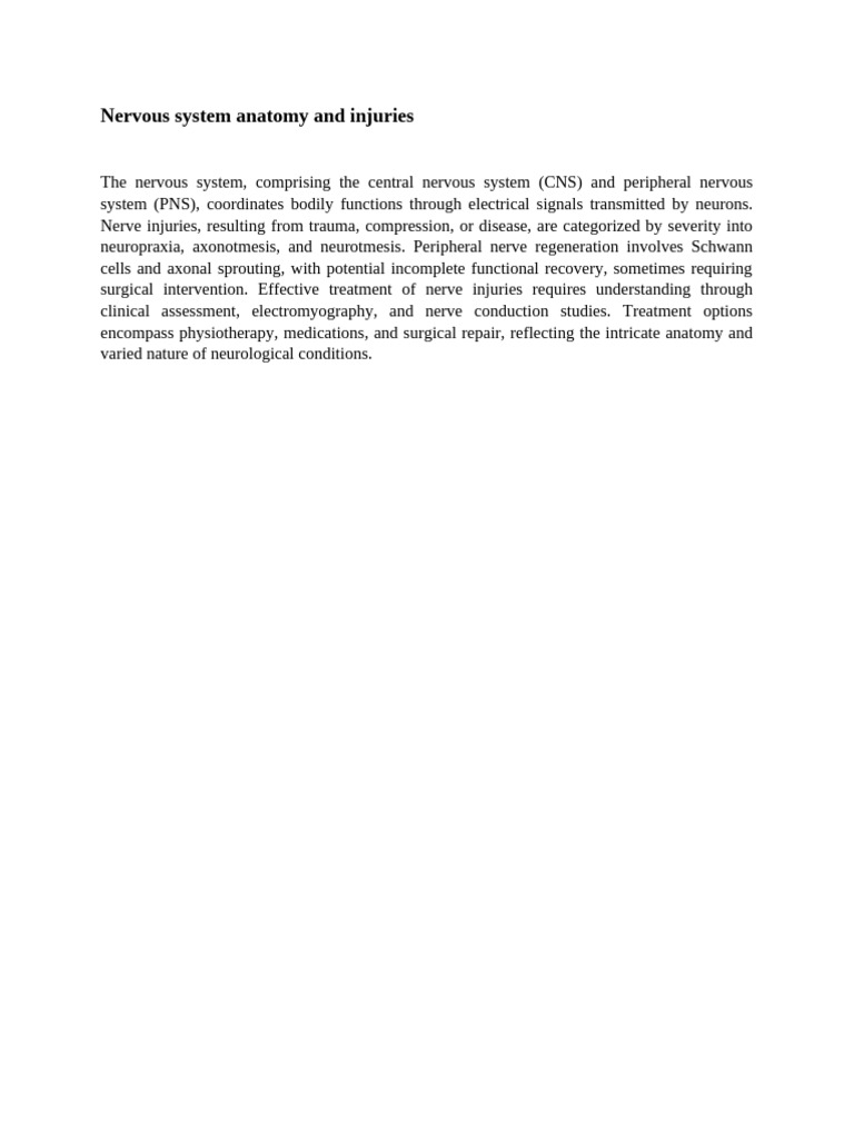 Nervous System Anatomy & Injuries | PDF