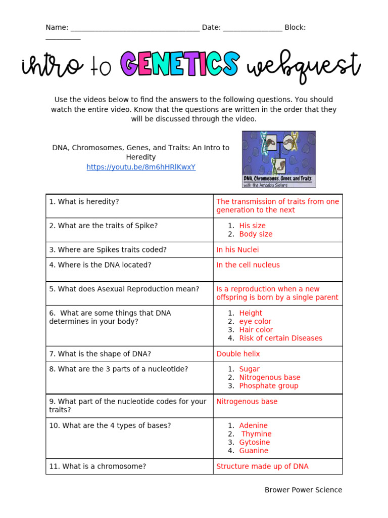 Intro To Genetics WebQuest 2 1 | PDF | Dominance (Genetics) | Genotype